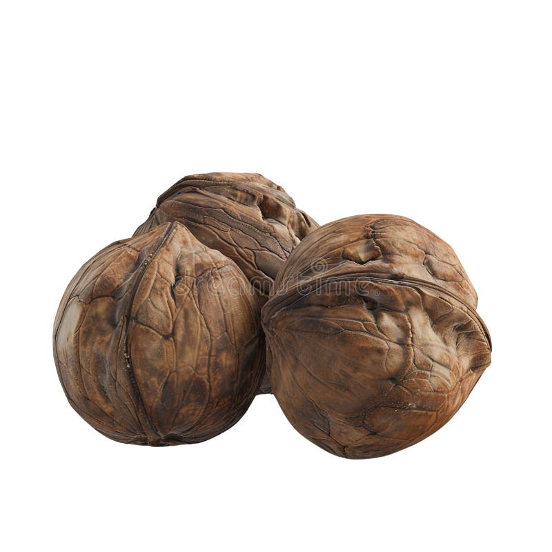 Three Walnuts Isolated on White Background Stock Photo - Illustration ...
