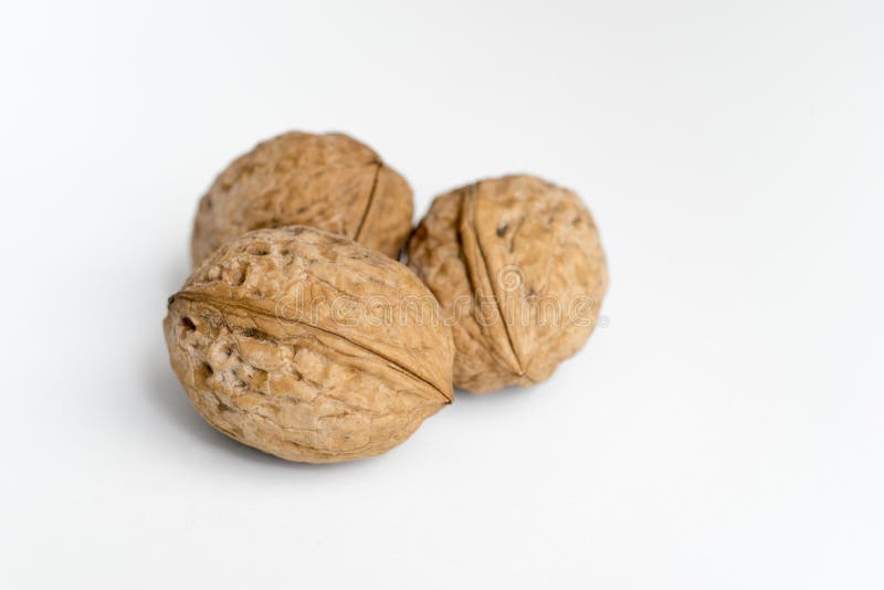Three walnuts stock photo. Image of focus, walnut, healthy - 51353154