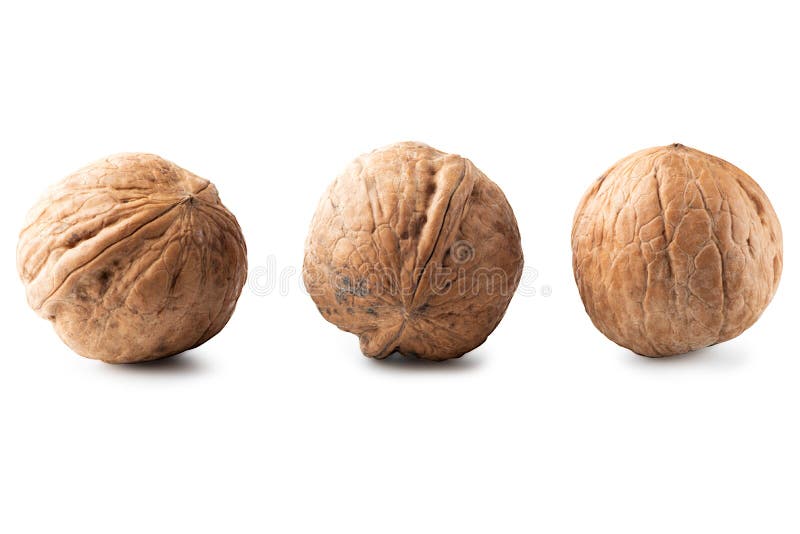 Three Walnuts Isolated on White Background. Clipping Path Stock Photo ...