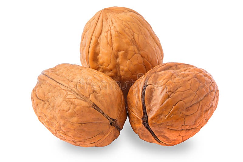 Three Walnuts Isolated on White Background Stock Photo - Image of three ...