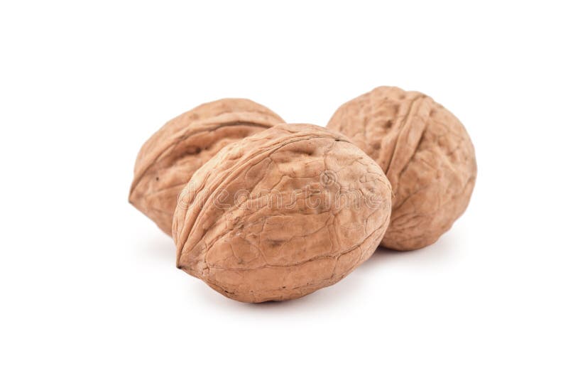 Three Walnuts Isolated on White Stock Photo - Image of natural, macro ...