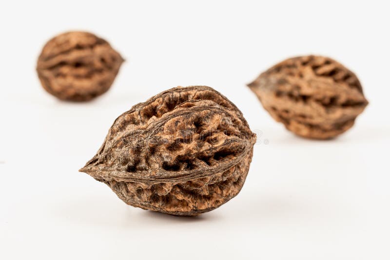 Three Walnuts Side by Side on White Background. Isolated Stock Image ...