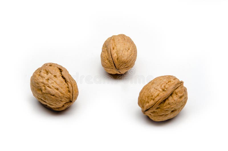 Three walnuts stock photo. Image of handful, skin, calories - 39336306