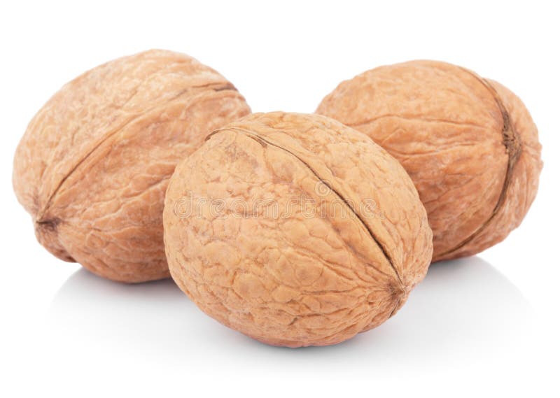 Three walnuts on white stock photo. Image of objects - 35702916