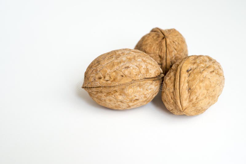 Three walnuts on white stock photo. Image of healthy - 102908672