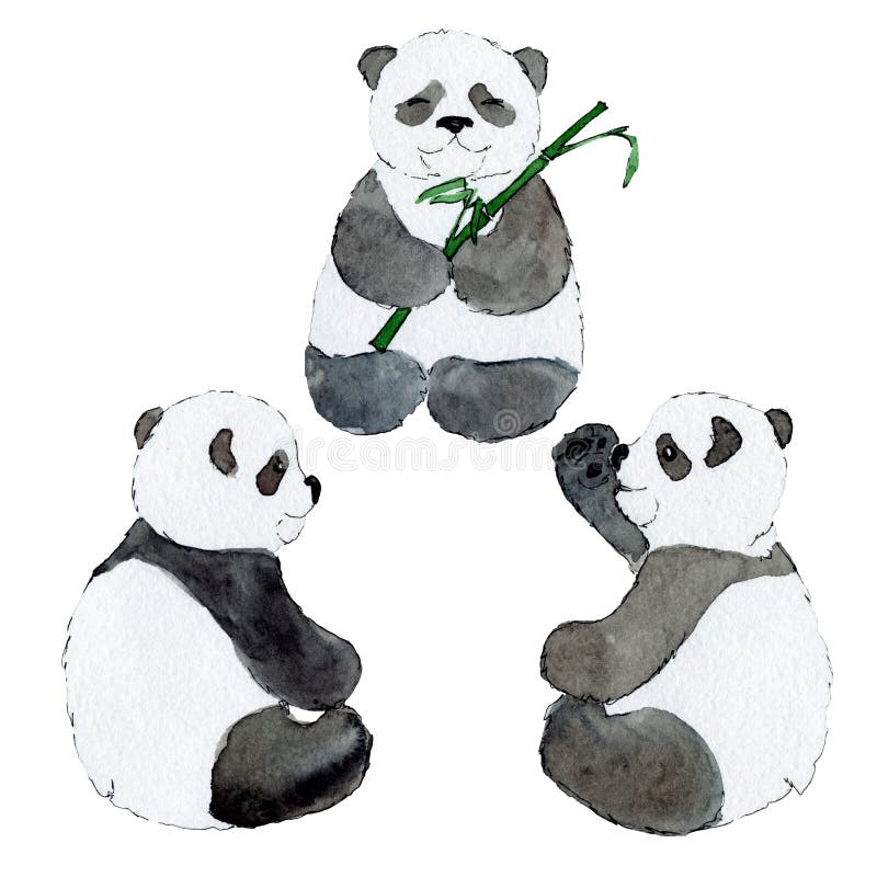 Three Watercolor Hand Drawn Pandas Stock Photo - Image of forest, decor ...