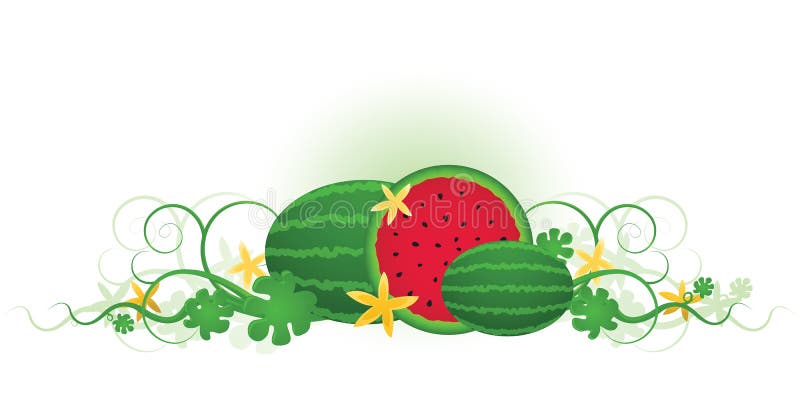 Three Watermelons stock vector. Illustration of clipart - 16997200