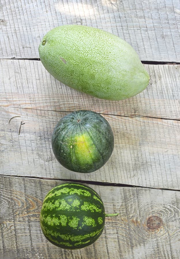 Three watermelons. stock image. Image of ripe, green - 21638183