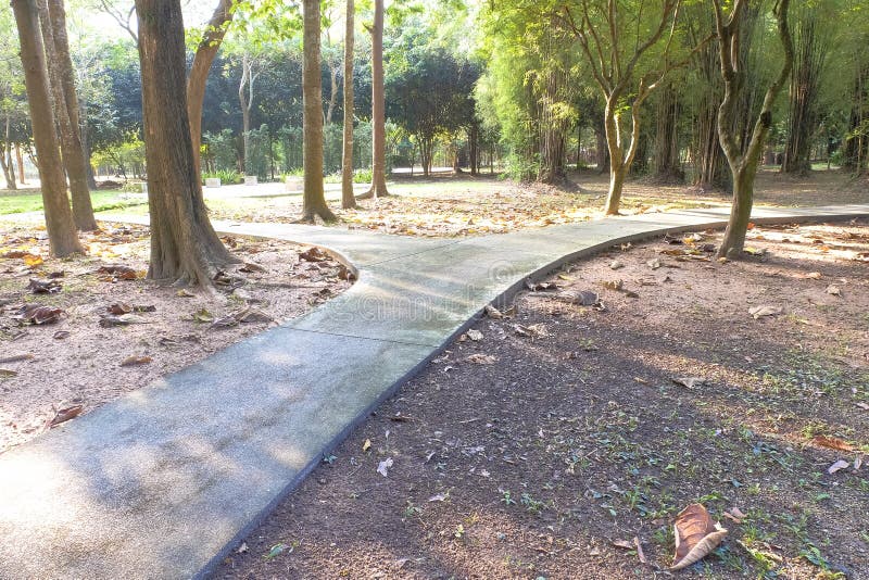 Three way crossroads stock photo. Image of landscape - 106235204