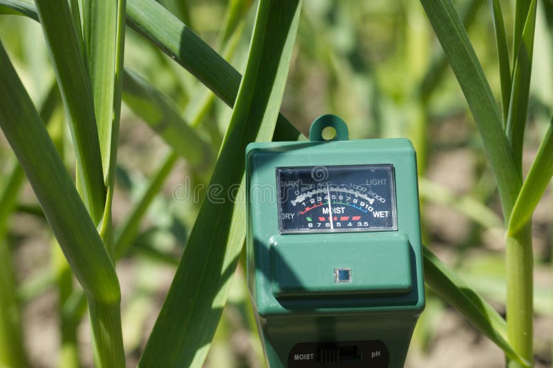 Three Way Meter PH, Light and Moisture in the Soil Stock Photo - Image ... Three Way Meter PH, Light and Moisture in the Soil Stock Photo - Image ...