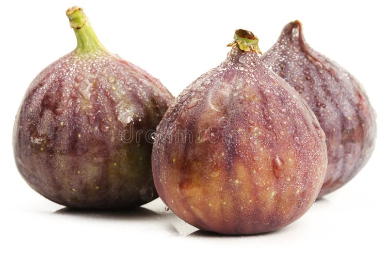 The last of the fig crops stock image. Image of crop - 46169927