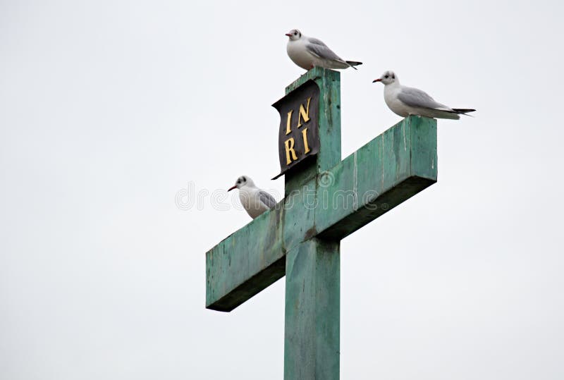 Three White Birds Sitting On The Cross Stock Photo - Image of religion ...