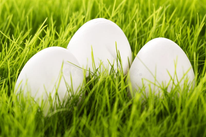 Three White Easter Eggs in Grass Stock Image - Image of decorate, eggs ...