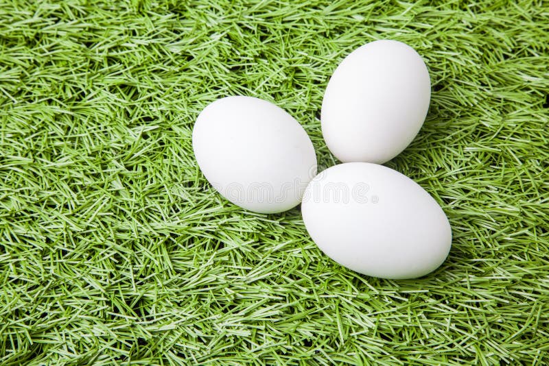 Three white easter eggs stock image. Image of happy, grass - 51786085