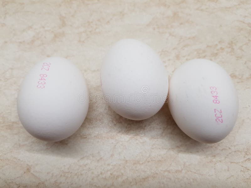 Three white eggs stock photo. Image of nature, counter - 210973078
