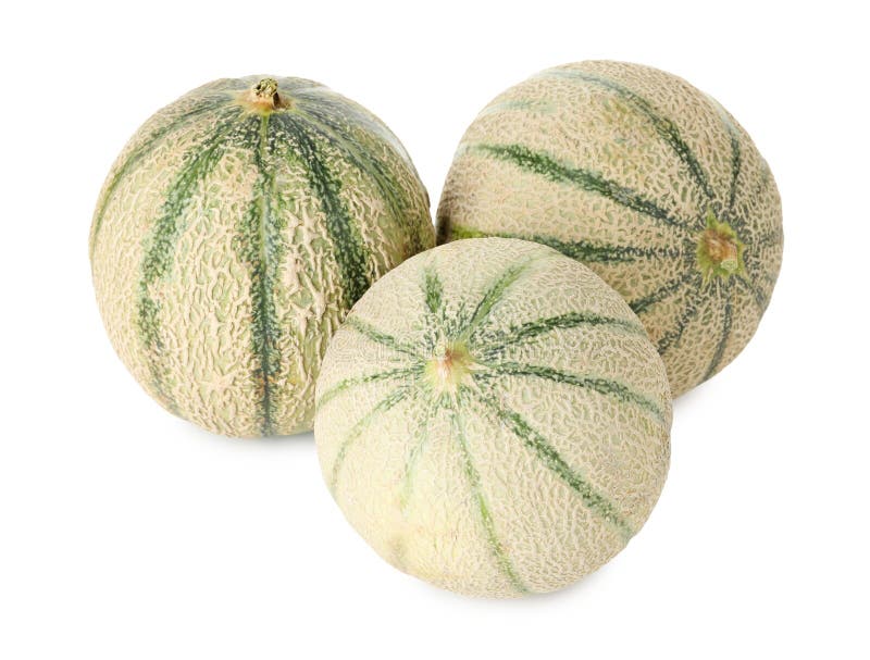 Three Whole Cantaloupe Melons Isolated on White Stock Photo - Image of ...