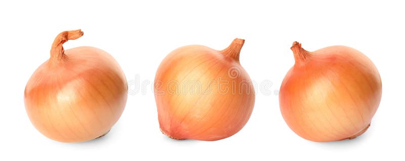 Three Whole Fresh Onion Bulbs Isolated on White Stock Image - Image of ...