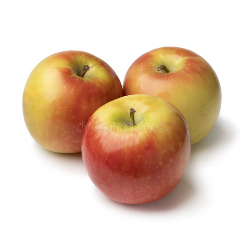 110 Kanzi Bonobo Stock Photos - Free & Royalty-Free Stock Photos from ...