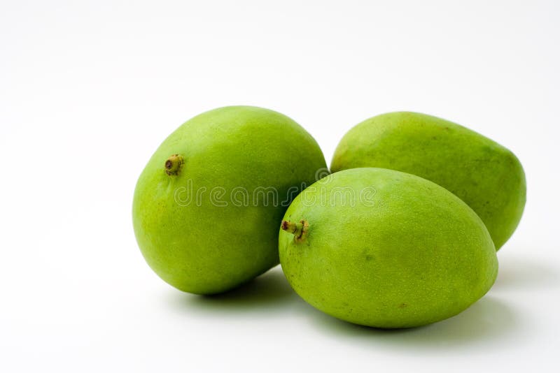Green Mango on White Background Stock Image - Image of background ...