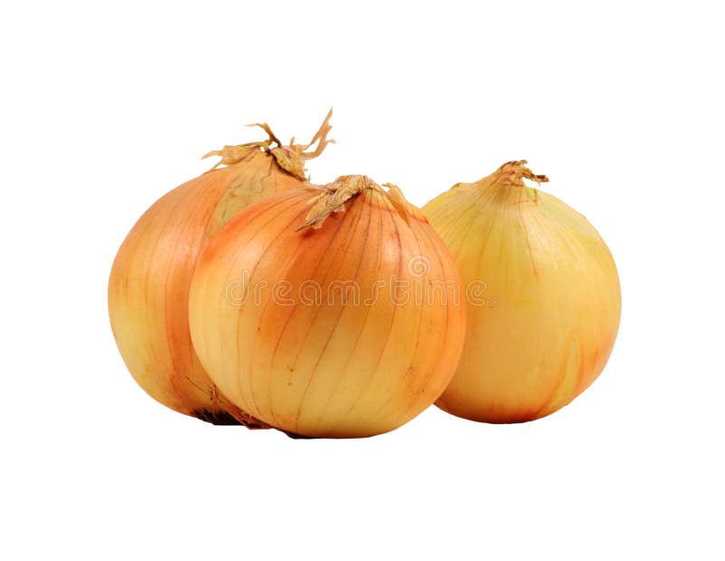 Three Whole Onions White Background Stock Photo - Image of vegetarian ...