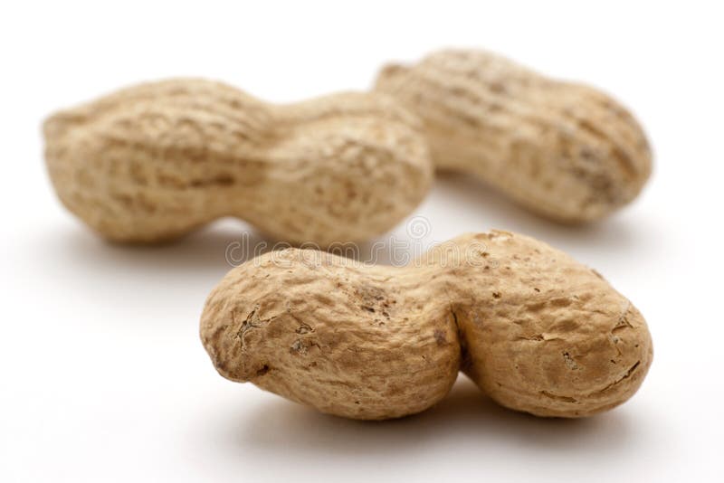 Three Whole Peanuts stock photo. Image of open, nature - 173160908