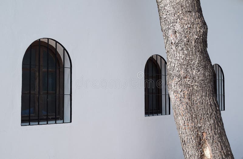 Three Windows and Detail of Tree in Front of White Building Stock Photo ...