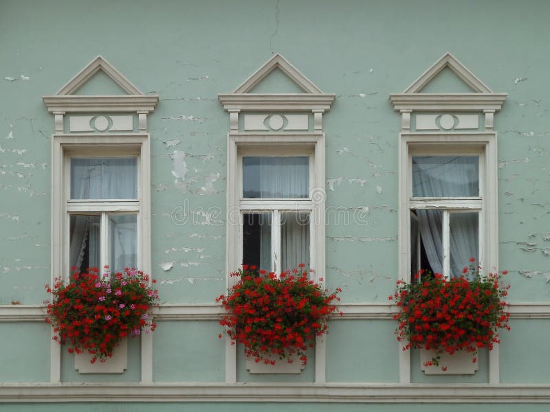 Three windows with flowers stock image. Image of decoration - 68099421