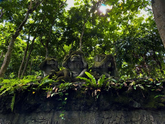 Three Wise Monkey Statues in a Forest. Stock Photo - Image of mystical ...