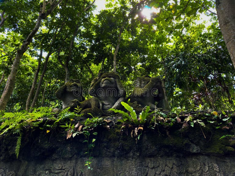 Three Wise Monkey Statues in a Forest. Stock Photo - Image of mystical ...