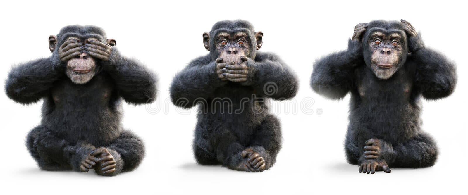 Wise Monkeys. Cute Ape with Hands Covering Mouth, Eyes and Ears. Blind ...