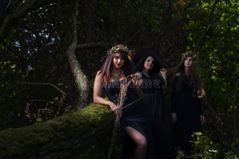 Three Witches in Dark Forest Stock Image - Image of dark, forest: 67416115