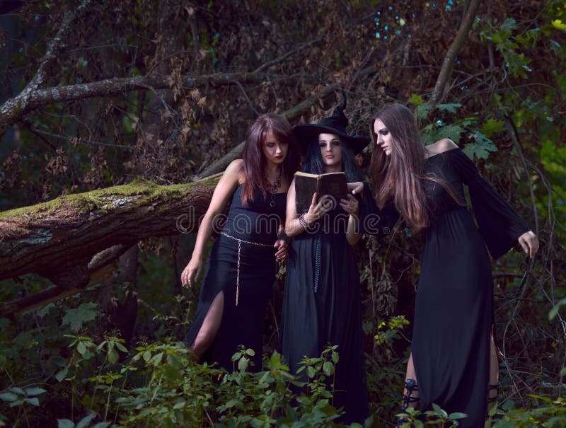 Three witches in forest stock photo. Image of tree, twilight - 58119250