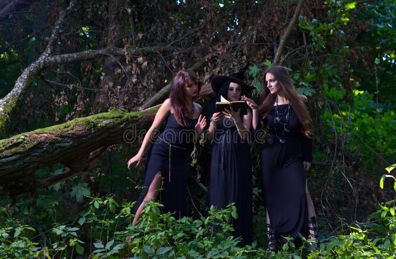 Three witches in forest stock photo. Image of forest - 58642572