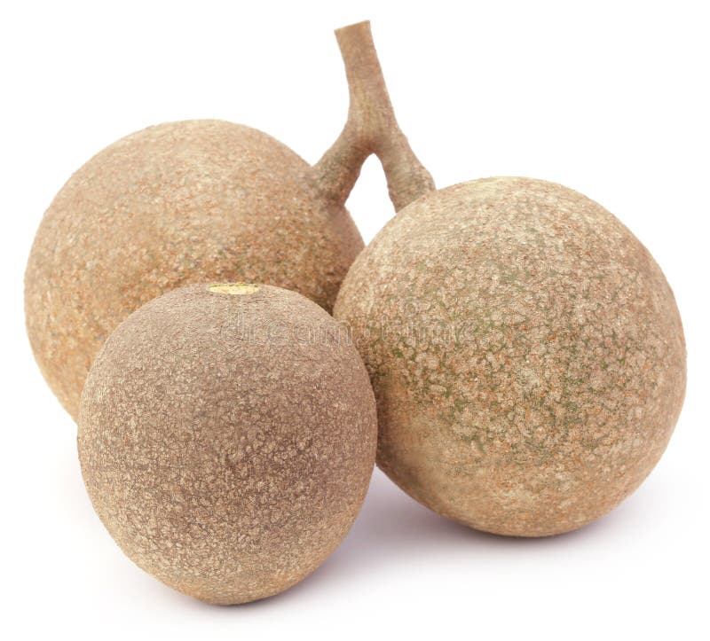 Wood apple or Kod bel stock image. Image of shell, fruit - 31169623