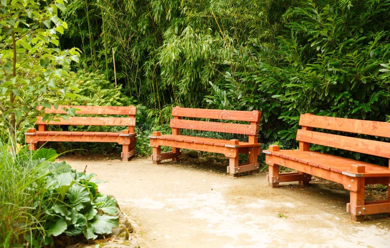 Benches in the park stock image. Image of europe, flora - 125079615