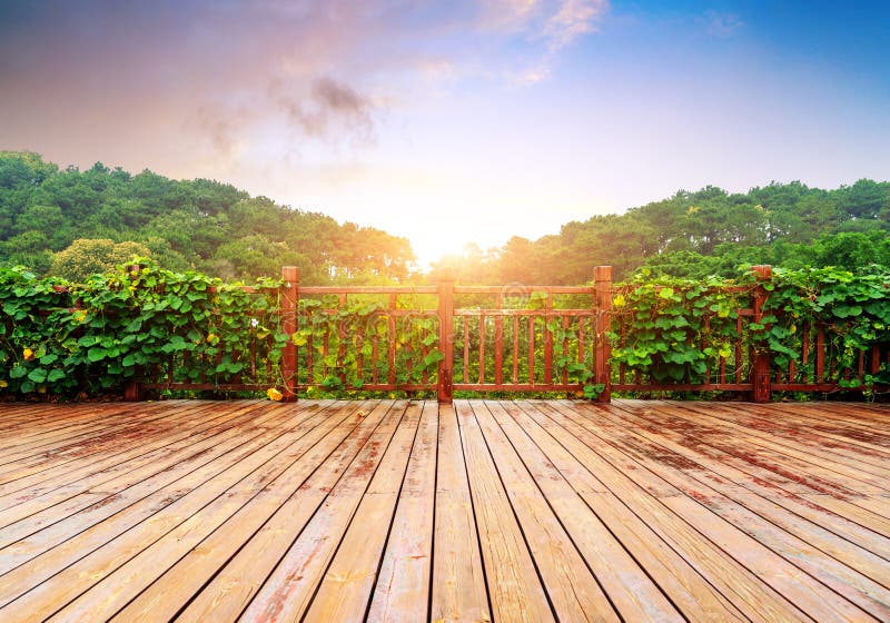 Wooden Platform and Lush Plants Stock Image - Image of grass, land ...