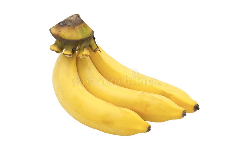 664 Bananas Front View Stock Photos - Free & Royalty-Free Stock Photos ...