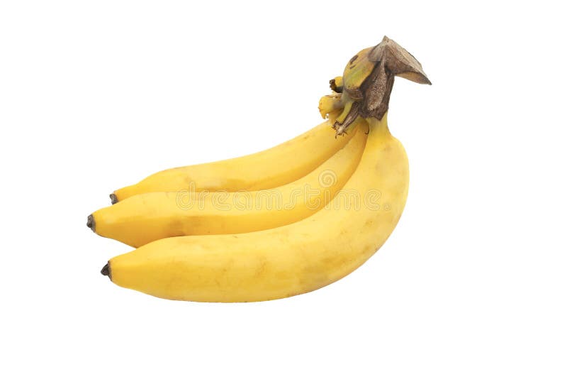 734 Bananas Front View Stock Photos - Free & Royalty-Free Stock Photos ...