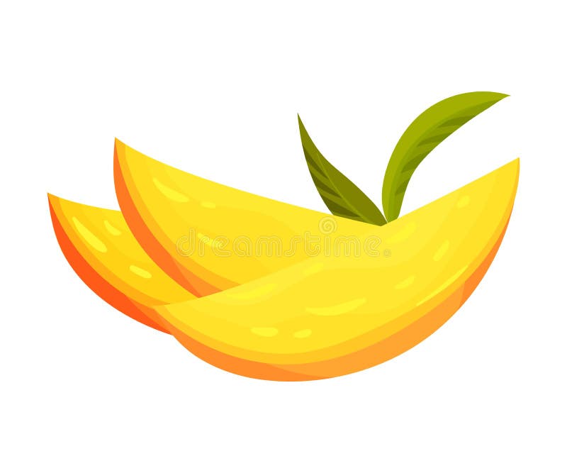 Three Mango Stock Illustrations – 121 Three Mango Stock Illustrations ...