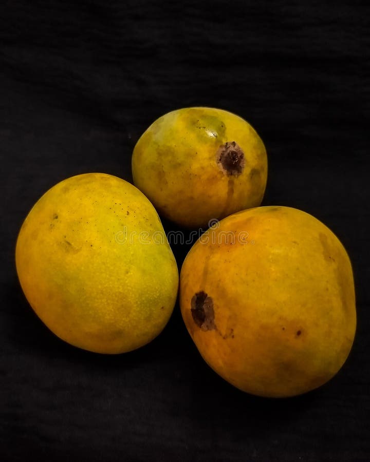Three Yellow Mangoes on Black Background Stock Photo - Image of fruit ...