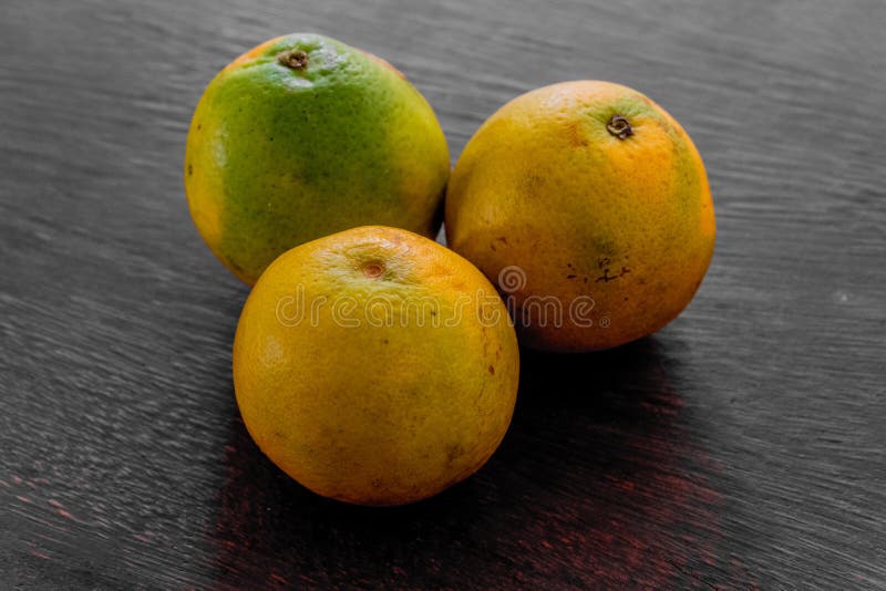 Brazilian Oranges, Rio Grande Do Sul Stock Photo - Image of laranja ...