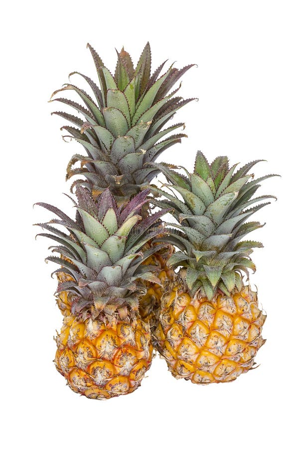 Three Yellow Pineapple Isolated on White Stock Image - Image of farming ...