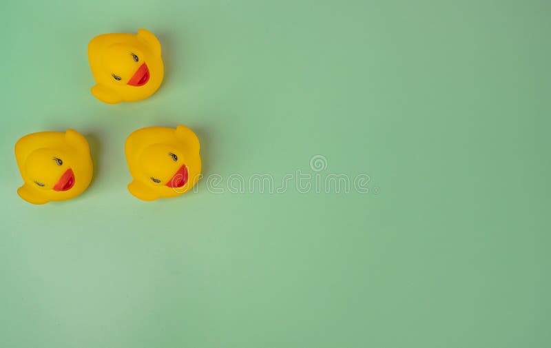 Three Yellow Ducks on Mint Green Background Stock Image - Image of ...