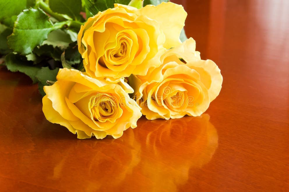 Three yellow roses stock image. Image of close, flower - 18202185
