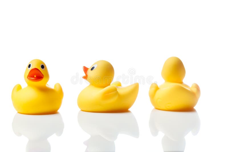 Three Yellow Rubber Ducks on White with Reflection Stock Image - Image ...