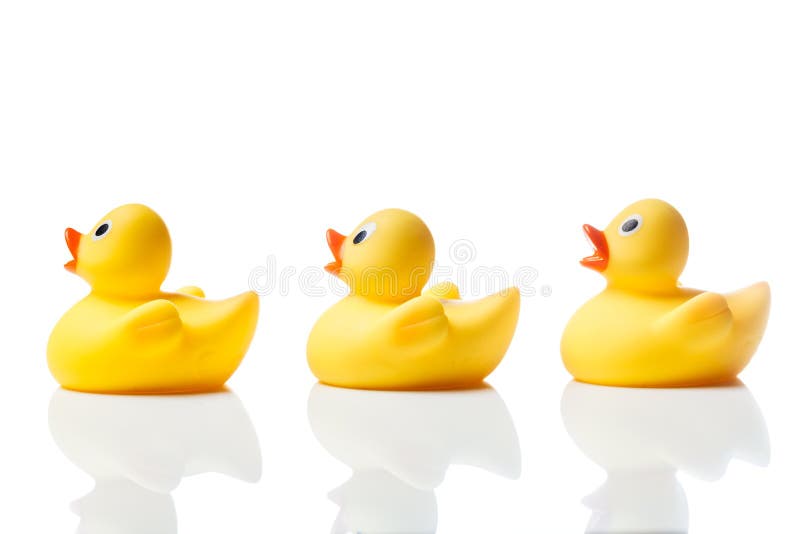 Three Yellow Rubber Ducks on White with Reflection Stock Image - Image ...