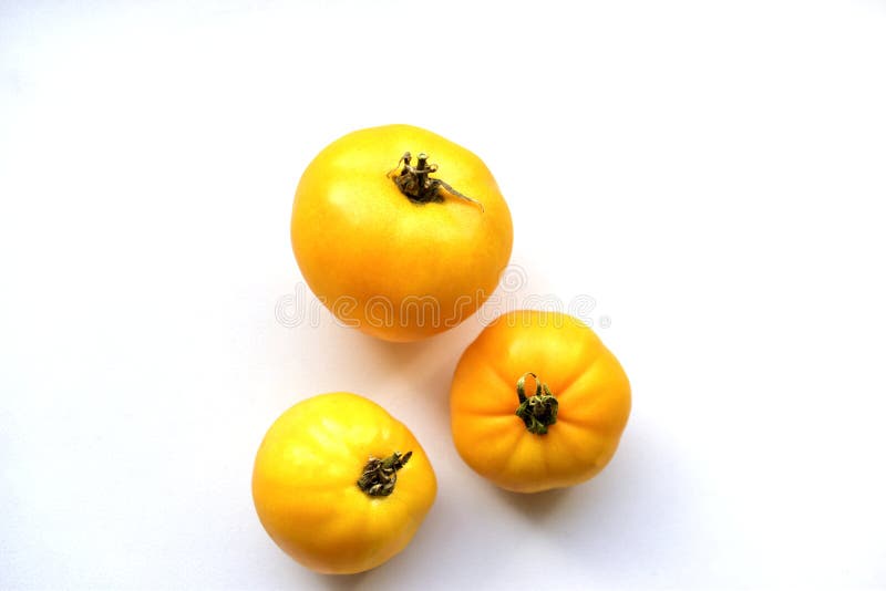 Three Yellow Tomatoes on a White Background Stock Photo - Image of ...