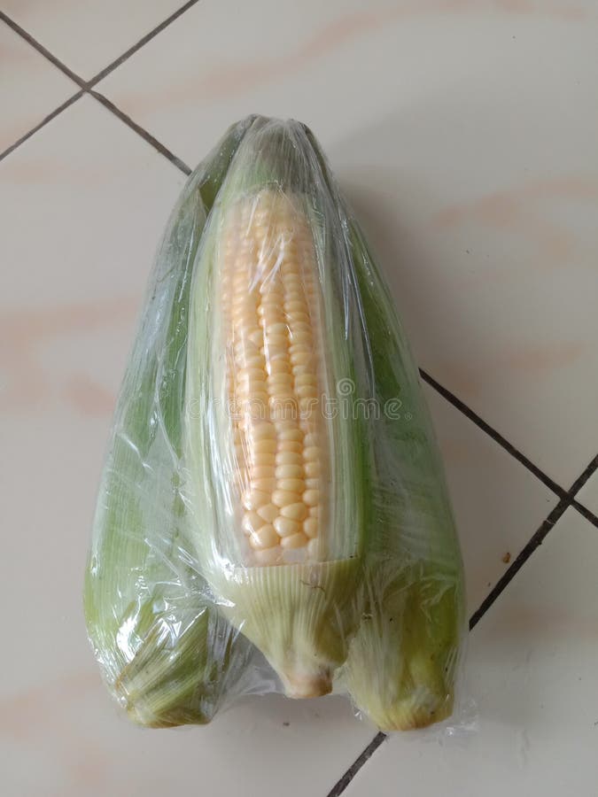 Three Young Corn To Cook the Soup Stock Photo - Image of food, produce ...