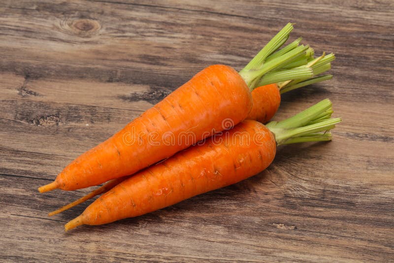 Three Young Fresh Ripe Carrot Stock Photo - Image of clean, orange ...