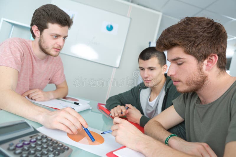 Three Young Male Students Looking at Pie Chart Stock Image - Image of ...